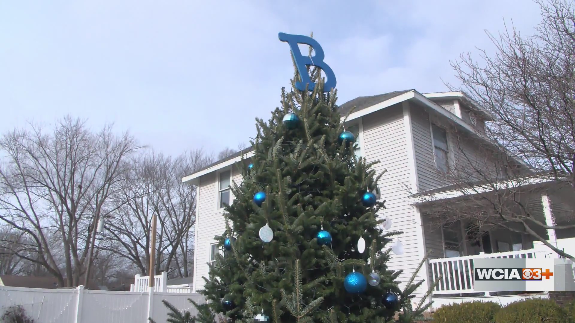 The B Tree: Honoring loved ones, one ornament at a time in Arthur