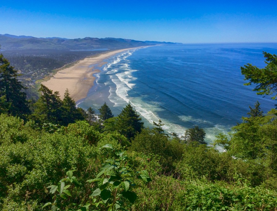 Auditors reveal lack of safety inspections, asset management at Oregon ...