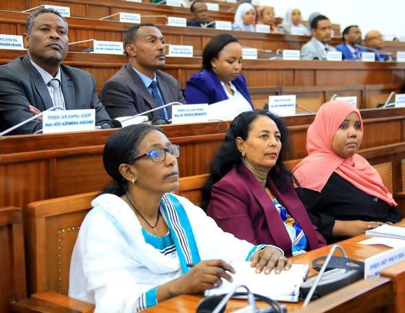 Ethiopia's Quest for Sea Access National Priority: FM Gedion