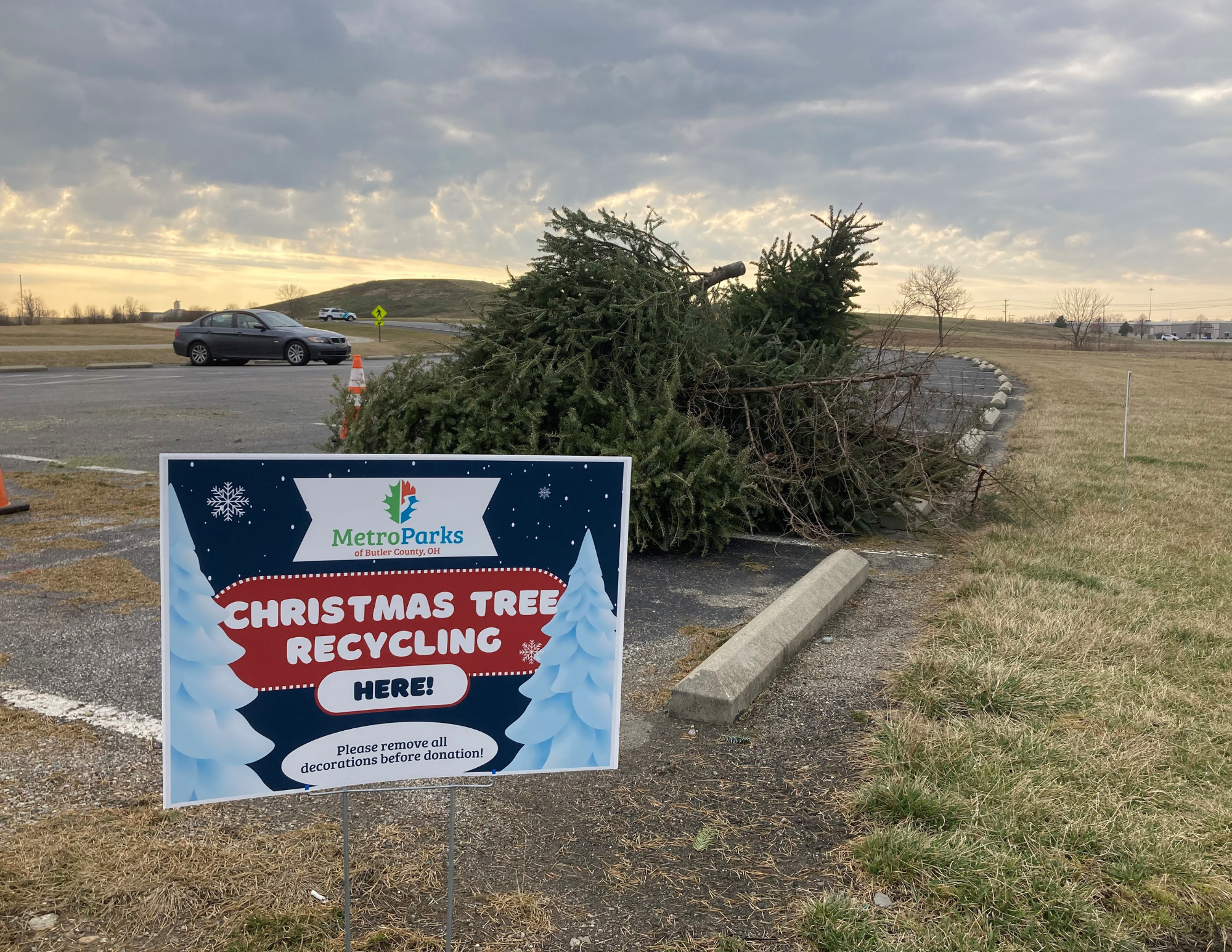 MetroParks of Butler County collecting live Christmas trees into February