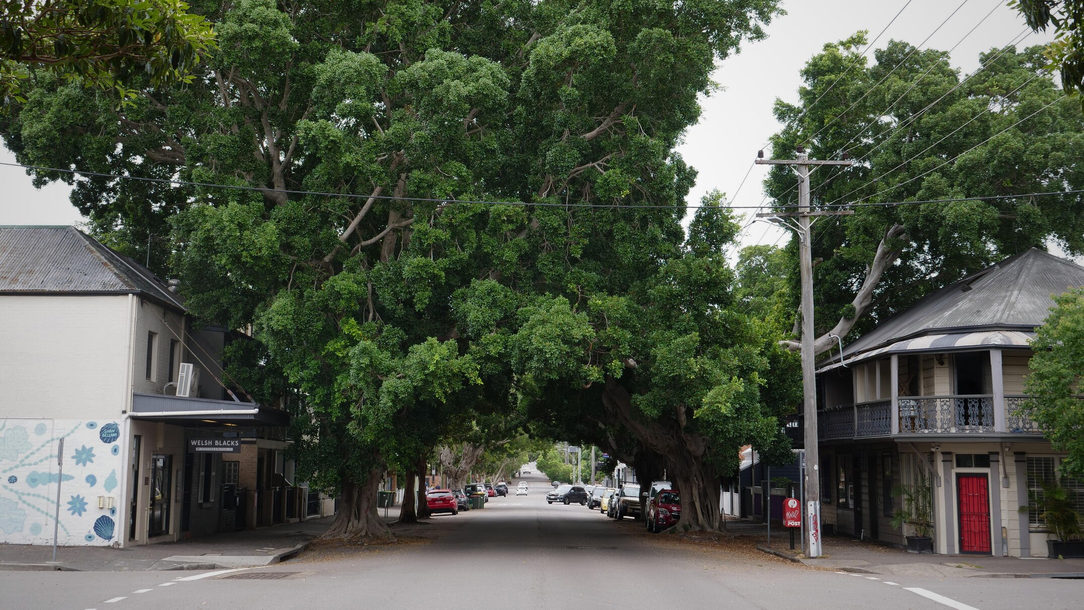 'White Australia' flyer letterbox drop in Newcastle sparks police ...