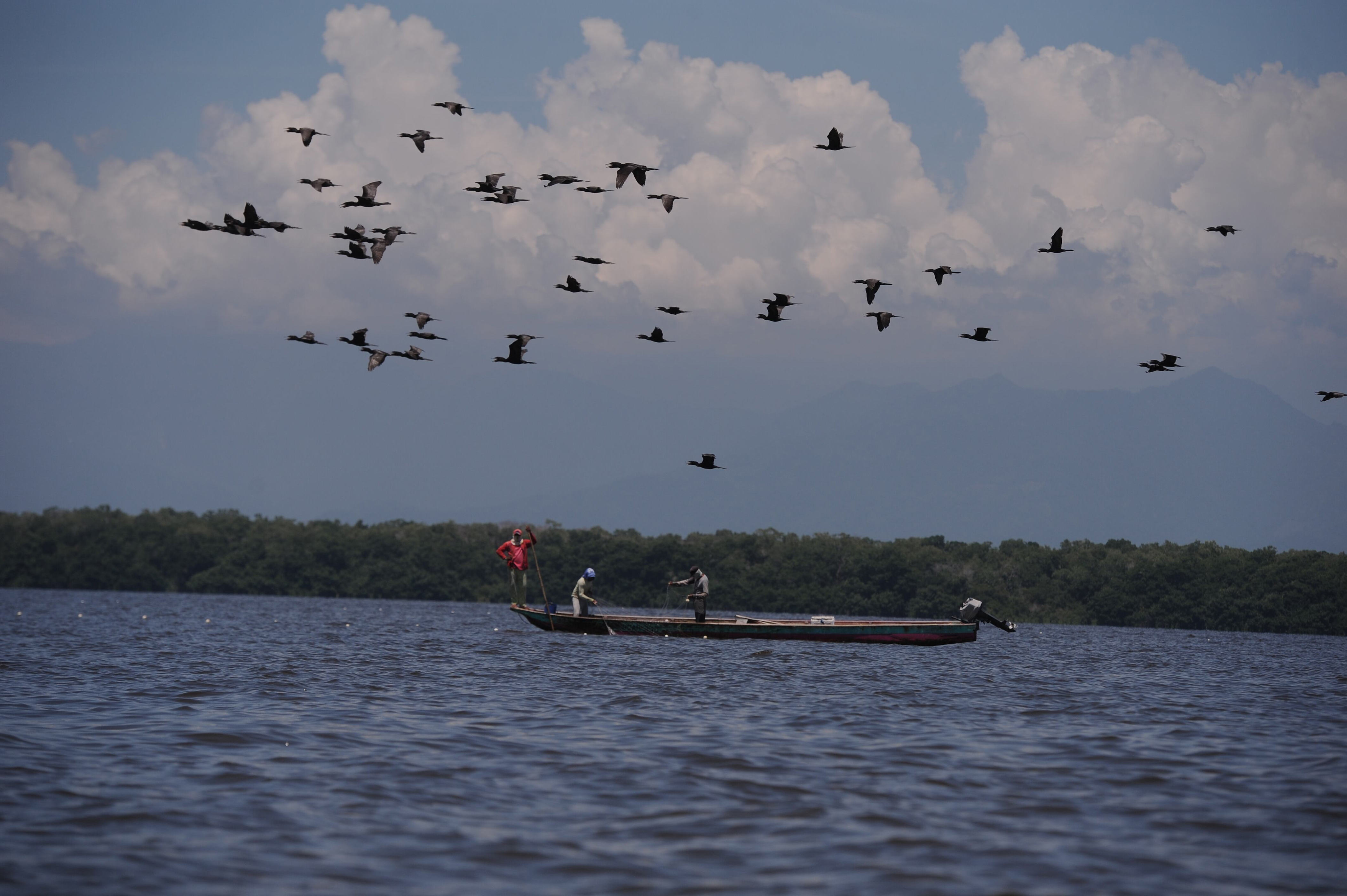 Mecer el tiempo o de la nostalgia costeña