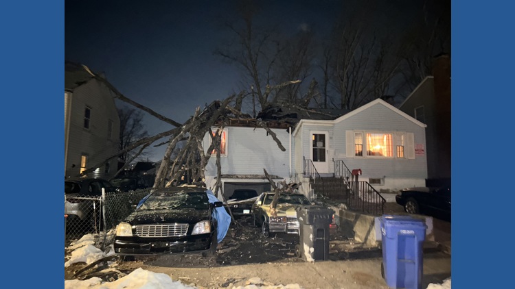 Strong winds topple tree onto Hartford homes, damaging cars