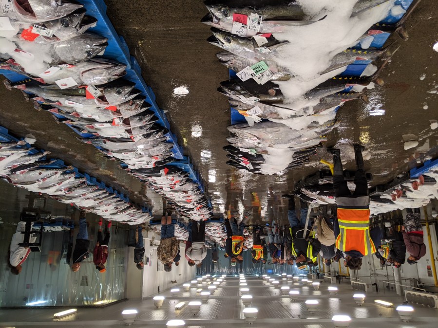 New Year’s rush brings busy nights to Honolulu fish auction