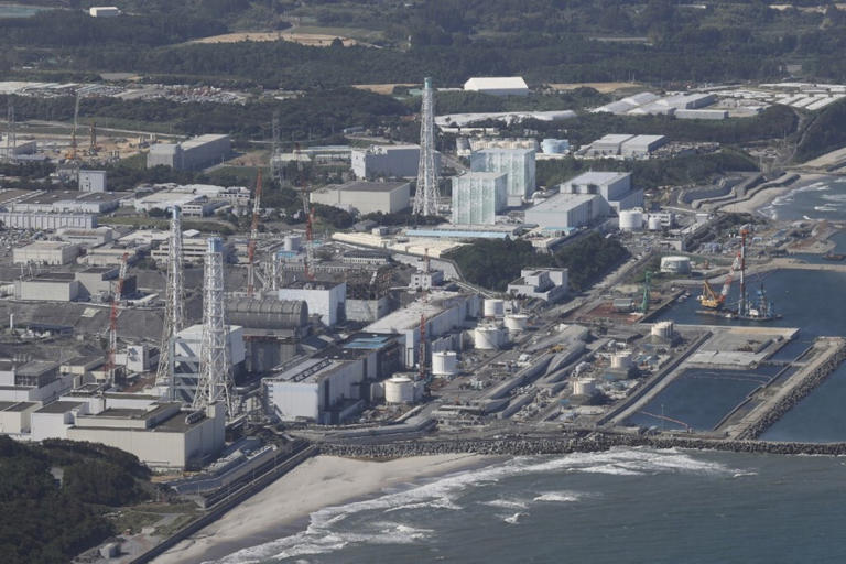 UN watchdog chief visits Fukushima as Japan marks return to nuclear power