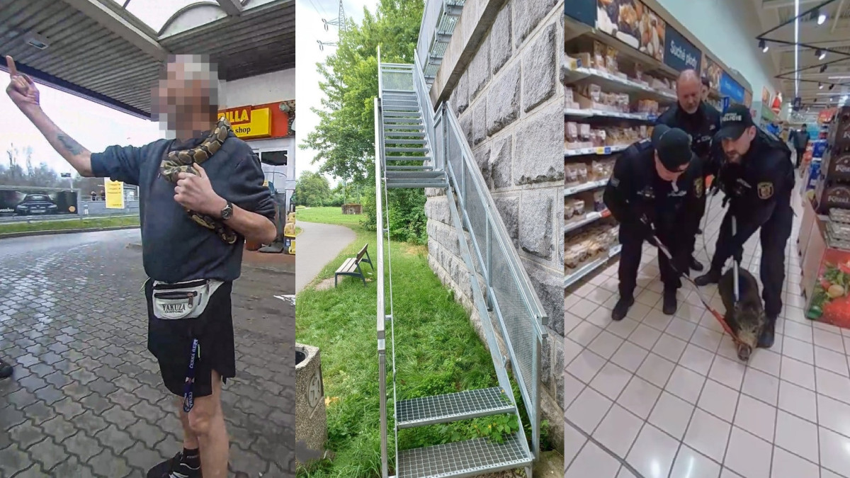 Ten největší bizár roku 2025. A že toho letos bylo opravdu požehnaně