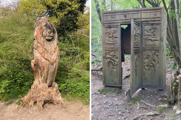 The magical Surrey woodland near London with a Narnia trail hidden among it