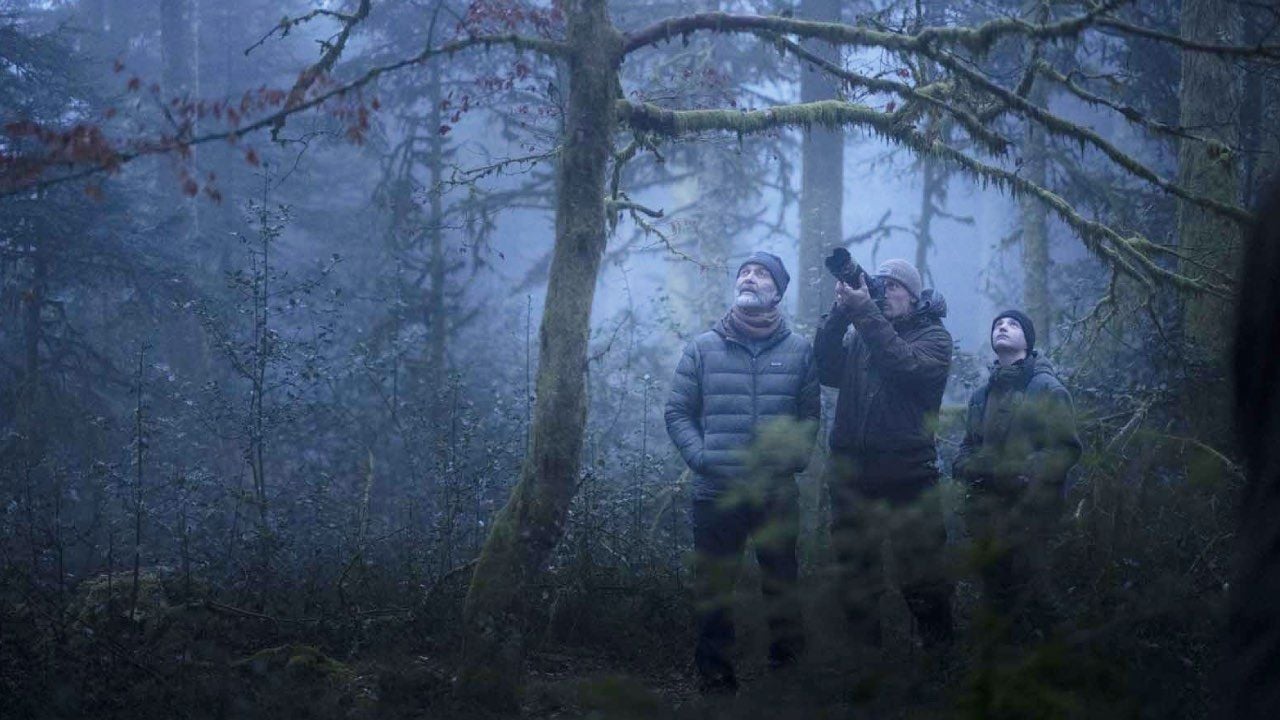 « Un voyage inoubliable », « d'une beauté renversante »… : noté 4,3 sur ...