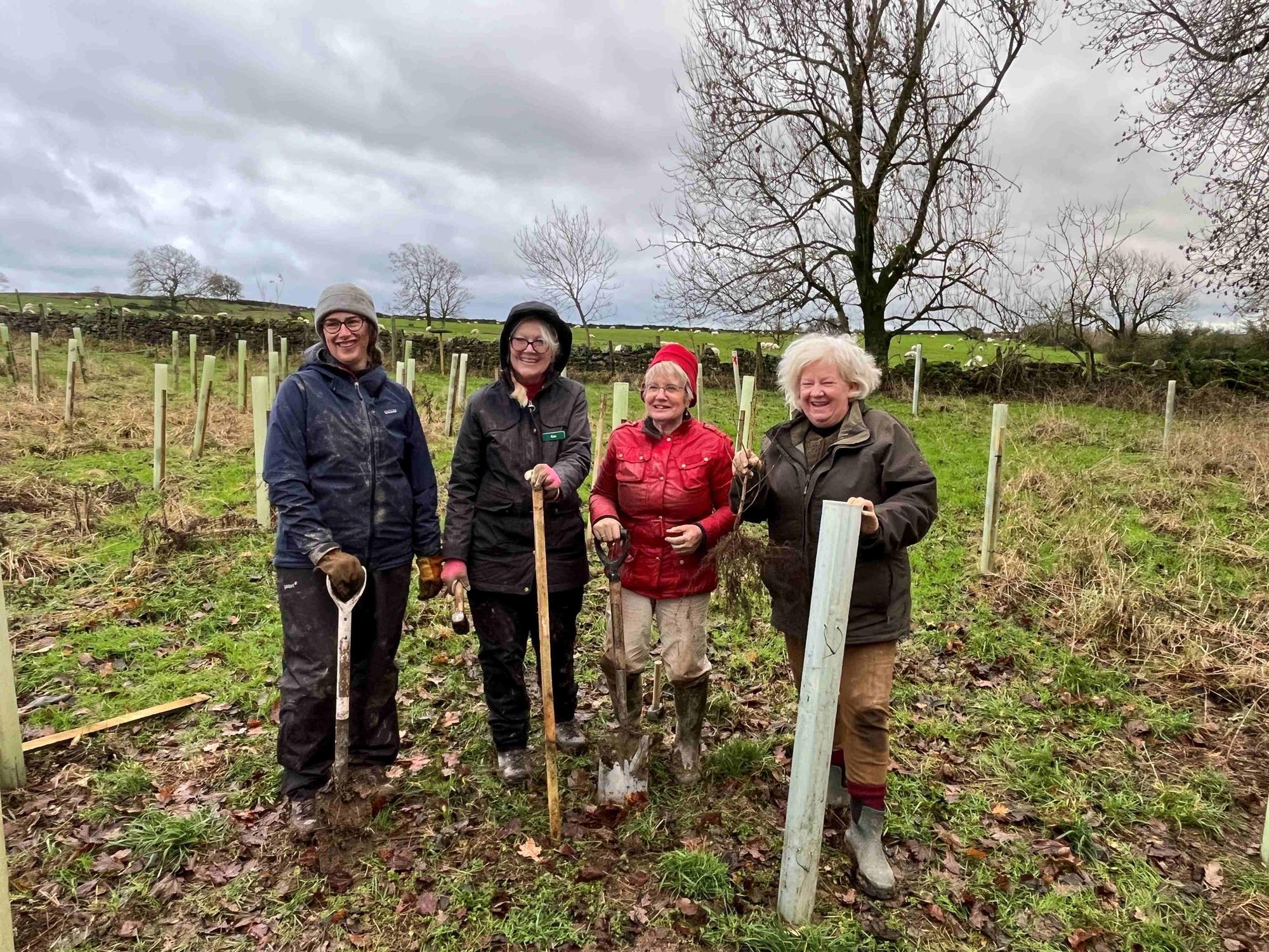 WI plant hazel trees near Pateley Bridge to celebrate 110 years