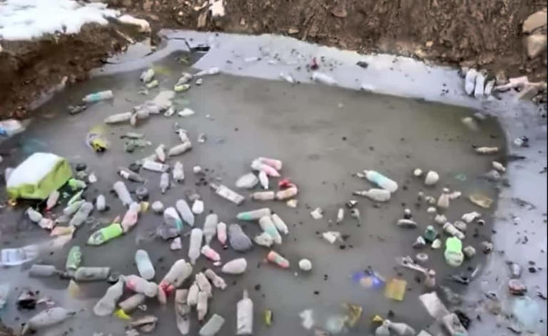 Forest officer slams tourists for littering Himachal hills. Tips for ...