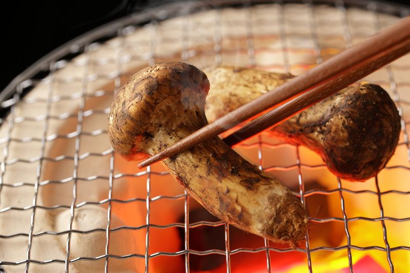 10 types of rare mushrooms and how they are used in cooking