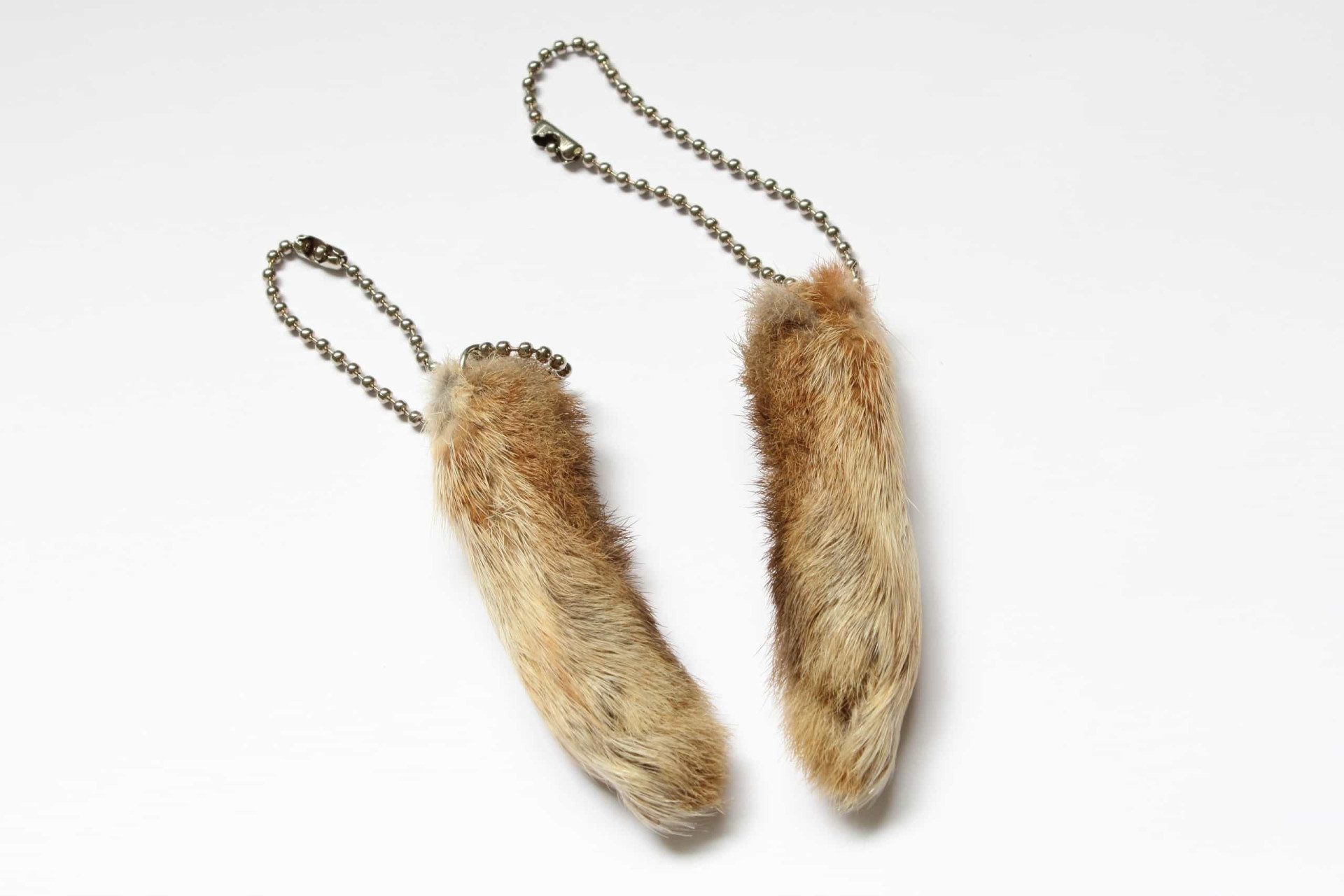 Good luck charms and bad luck signs from around the world