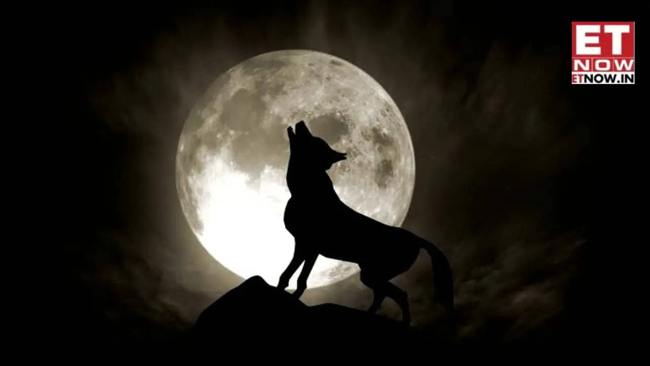 First full moon of 2026: When and where to watch wolf supermoon - details