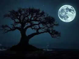 Look up on January 3: January’s wolf supermoon is coming