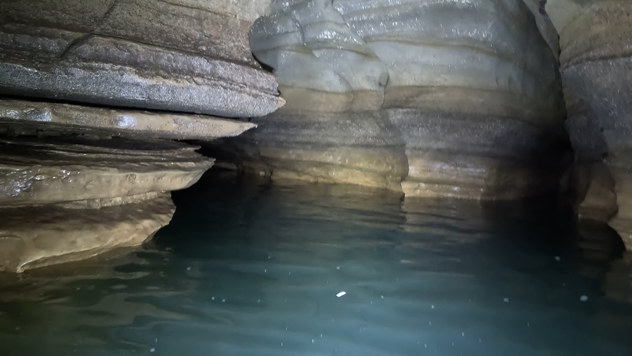 This cave is home to fish that have never seen light