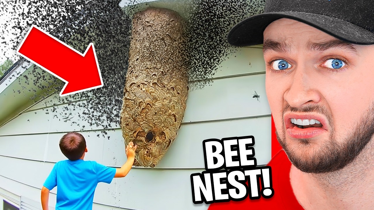 When common sense takes a day off