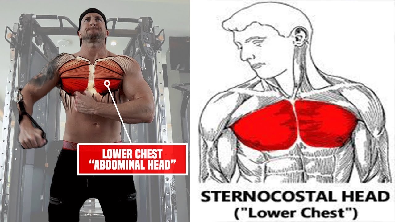 Try five forgotten lower chest exercises to build perfect pecs