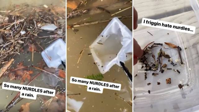 Beachgoer shares frustrating footage of the plastic 'nurdles' they ...