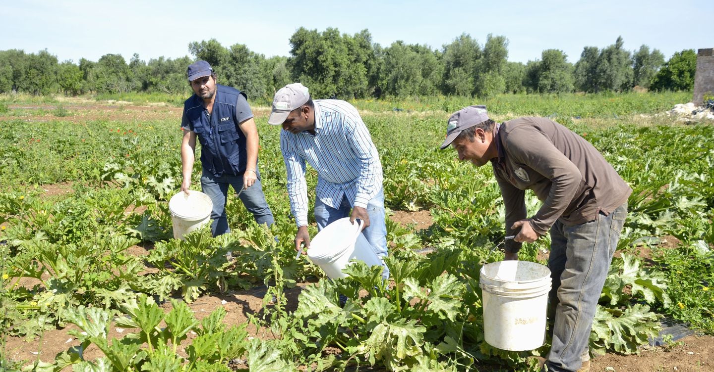 Nel 2025 rimesse degli stranieri verso quota 9 miliardi di euro