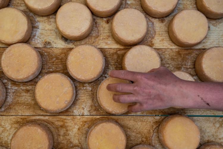 Atelier fromage, escape game, salon des vins indépendants… Nos idées de ...