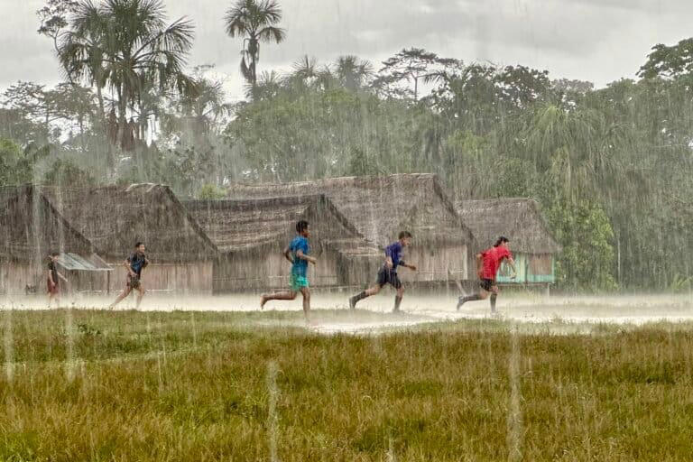 Mongabay’s investigative reporting won top environmental journalism ...