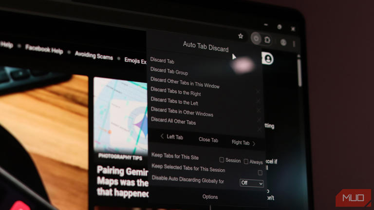 I installed Auto Tab Discard and Chrome is so much faster on my laptop now