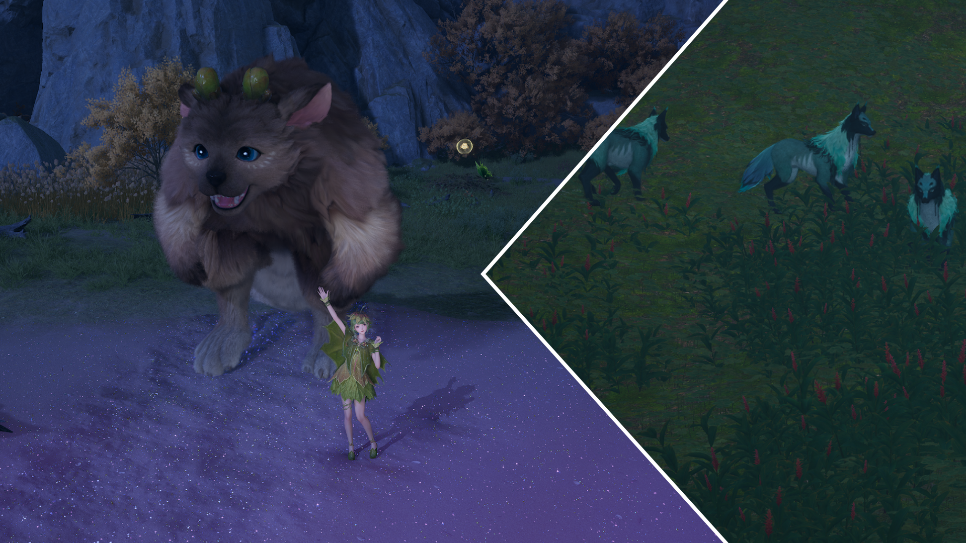 All Itzaland animal locations in Infinity Nikki