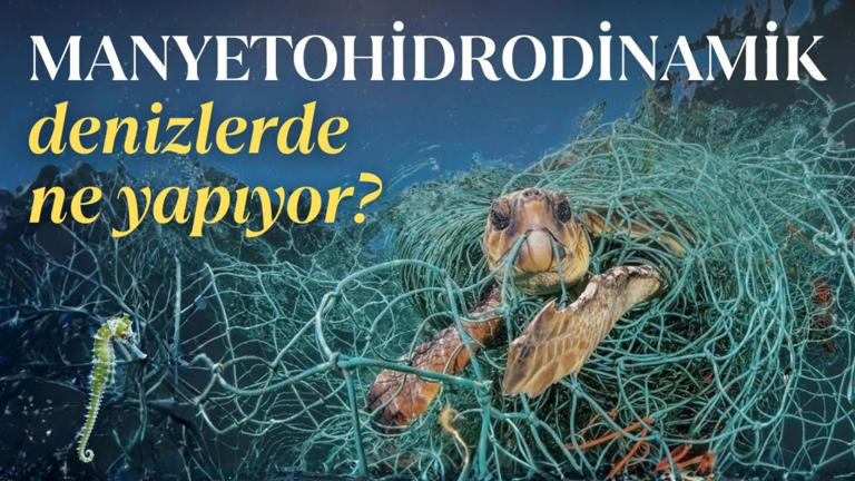 Aşk vaadiyle 1,5 milyon lira dolandıran firari hükümlü yakalandı