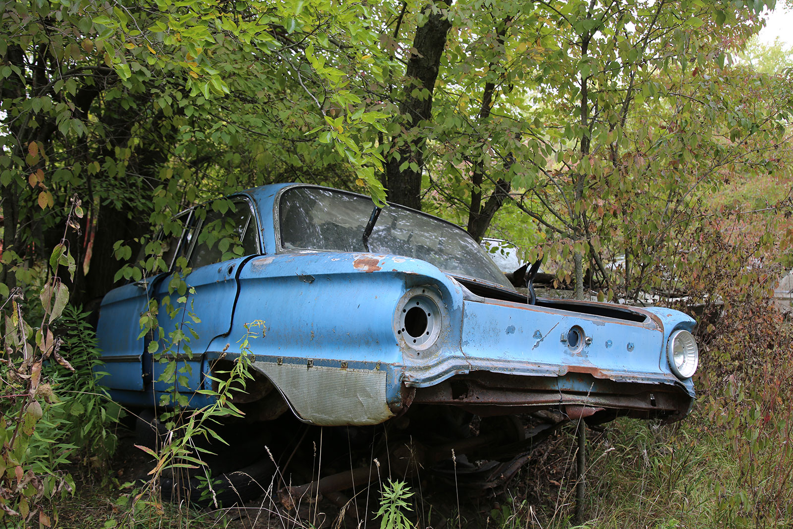 Trésors trouvés chez Ron's Auto Salvage à Allison, dans l'Iowa