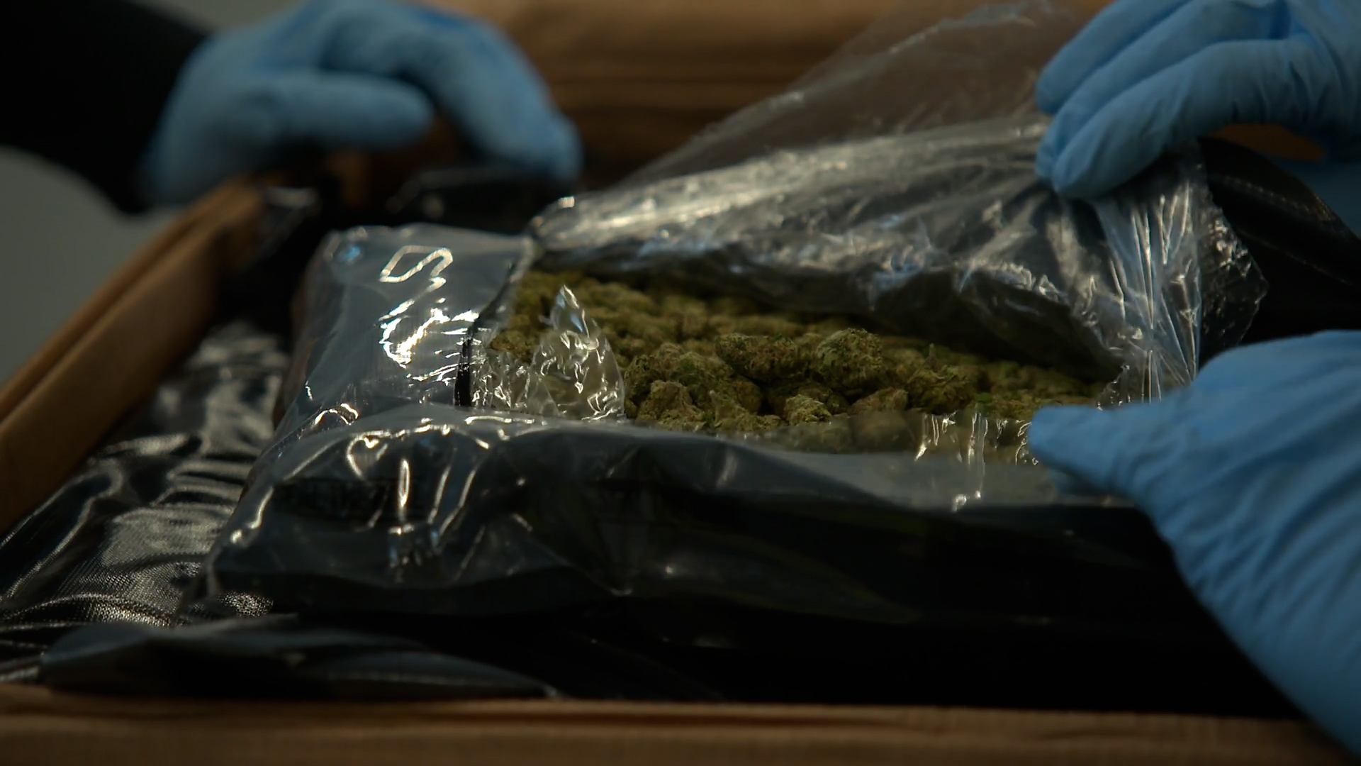 Douane onderschepte dit jaar vier keer zo veel cannabis: 'Spectaculair'