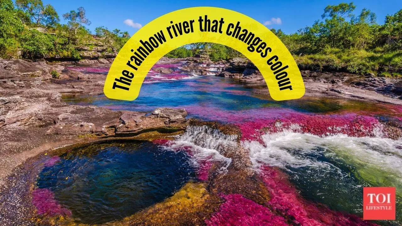 This rare river changes colour every year and is situated in this part ...