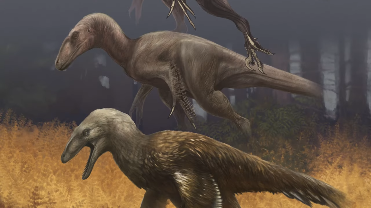 Why these odd Mesozoic carnivores became nature’s most surprising killers