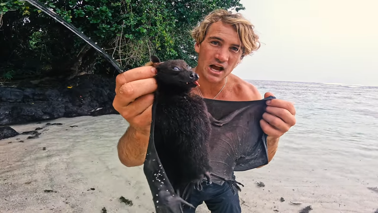 What happened when I had to eat giant bats for survival