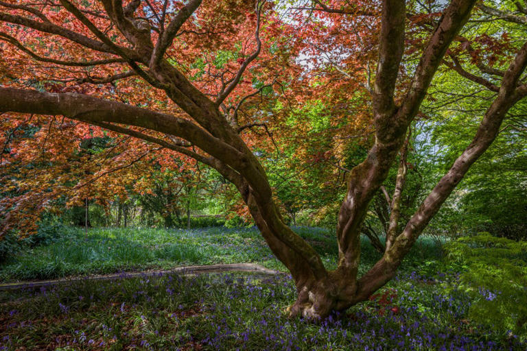 Why I love these gorgeous, but criminally under-rated Sigma lenses