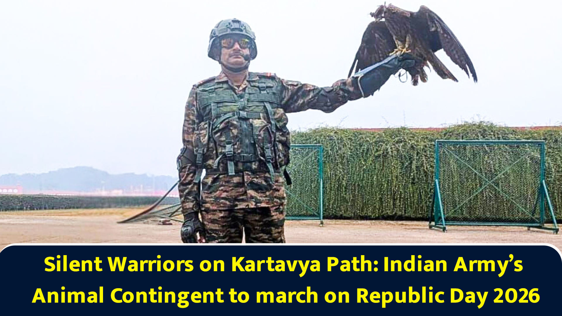 Silent warriors on Kartavya Path: Indian Army’s animal contingent to ...