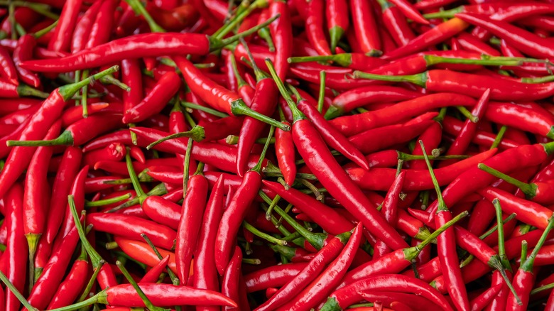 How are Scoville units actually measured to rank the hottest peppers?