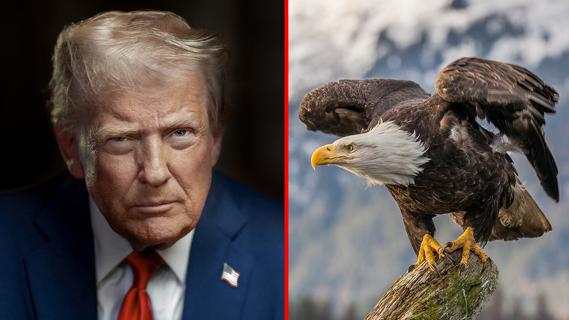 Trump trolled online for epic 'bird-brained' error in viral anti ...