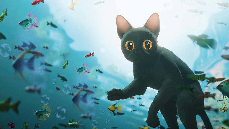 Roe McDermott’s top films of 2025