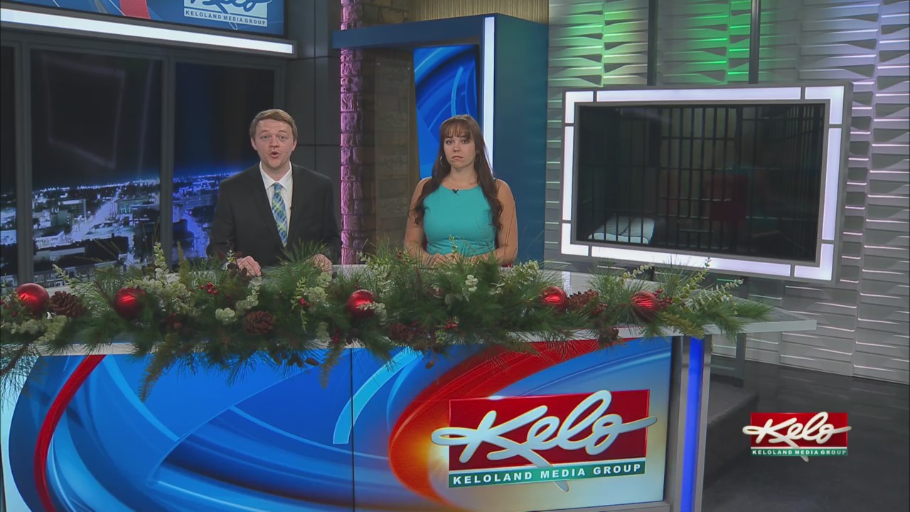 Aggravated assault; Sober New Year's Eve; Cold return