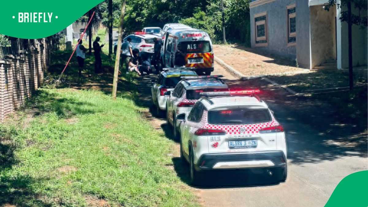 KwaZulu-Natal: Mother and daughter injured in alarming pitbull attack