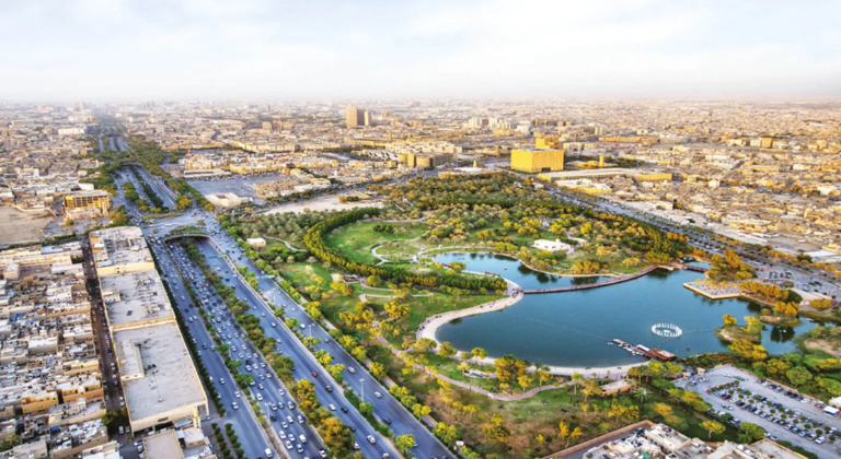 Will Saudi Arabia succeed in turning its vast desert landscape green by ...