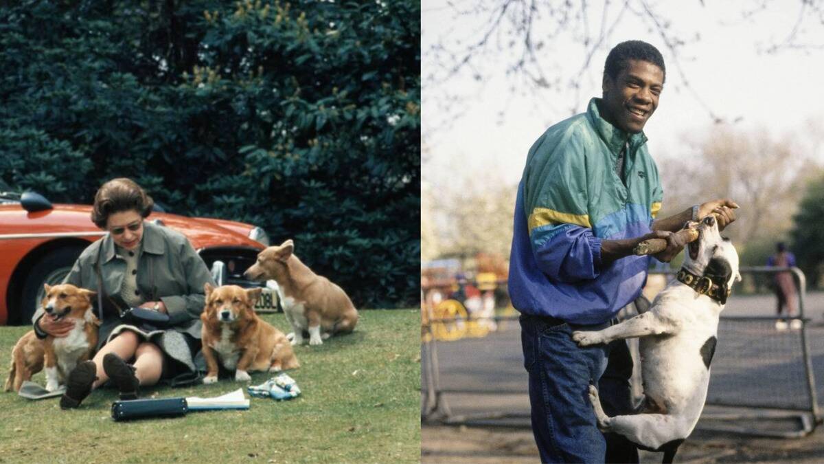 The surprising psychology behind why people talk to pets