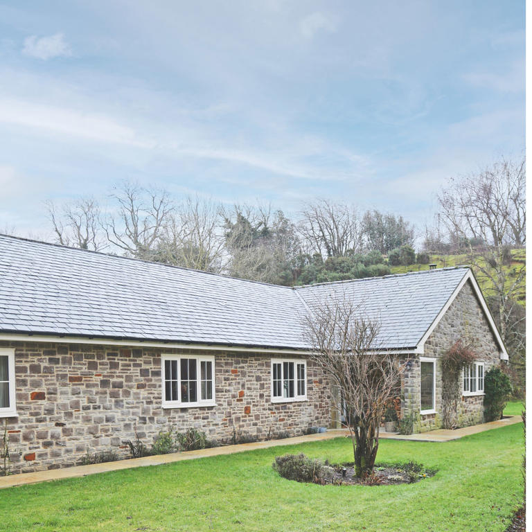 3 reasons you should plant a tree this winter – all of the best benefits