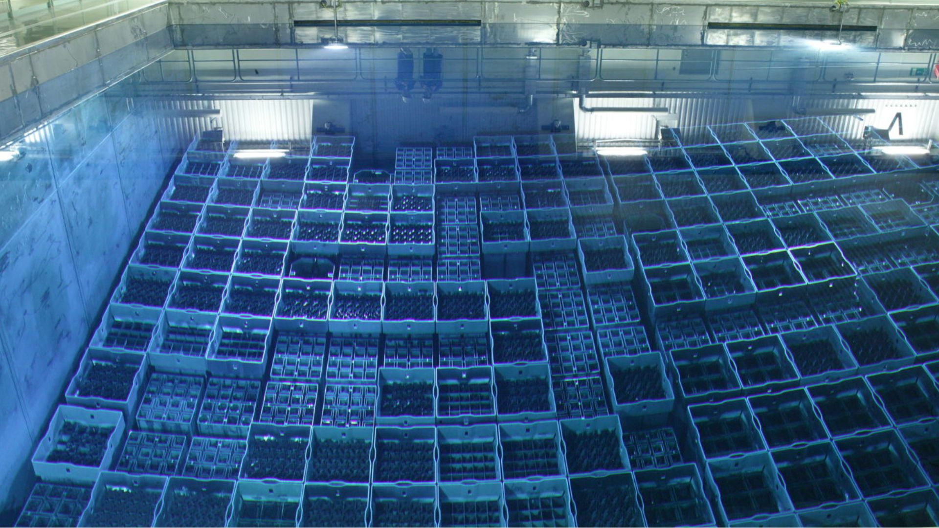 US to recover world’s only supply of rare plutonium from Cold War ...