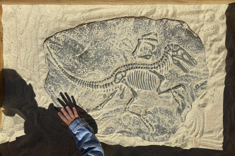 Dinosaurs’ extinction revisited: What the latest science says