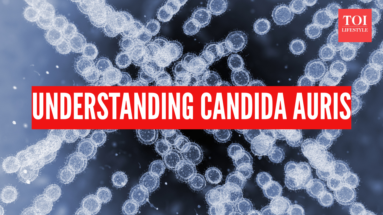 Candida auris spreads across 27 US states: Symptoms of the deadly ...