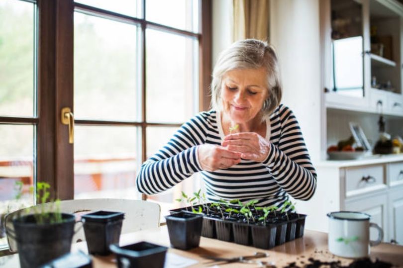 UK households face new pensions '£1,000 rule' being introduced by ...