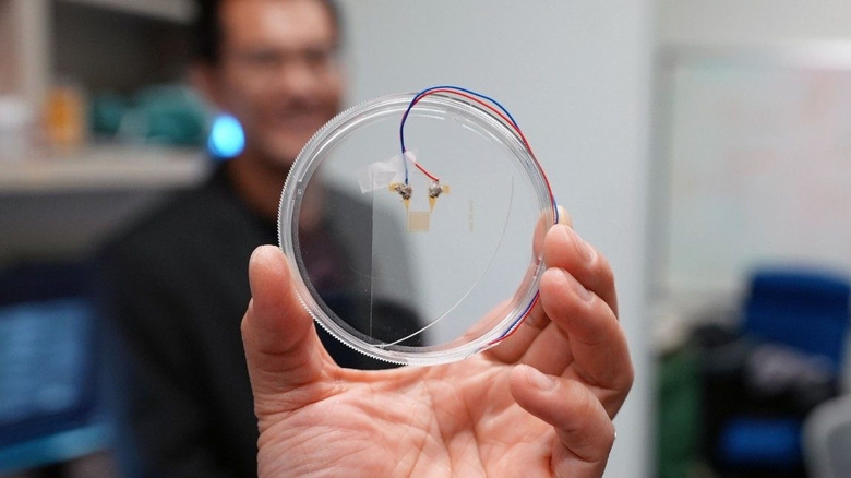 'Invisible grabbers' let you move objects using nothing but sound waves