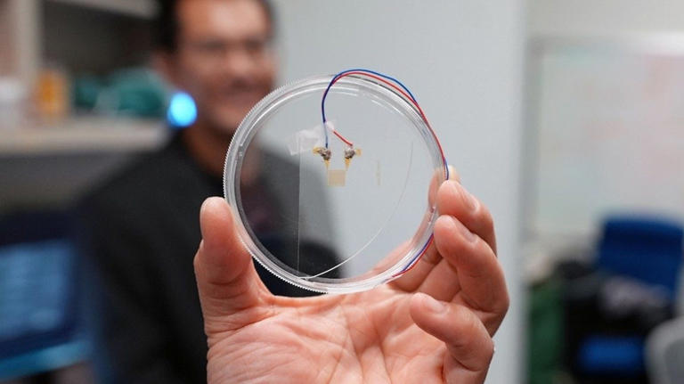 'Invisible grabbers' let you move objects using nothing but sound waves