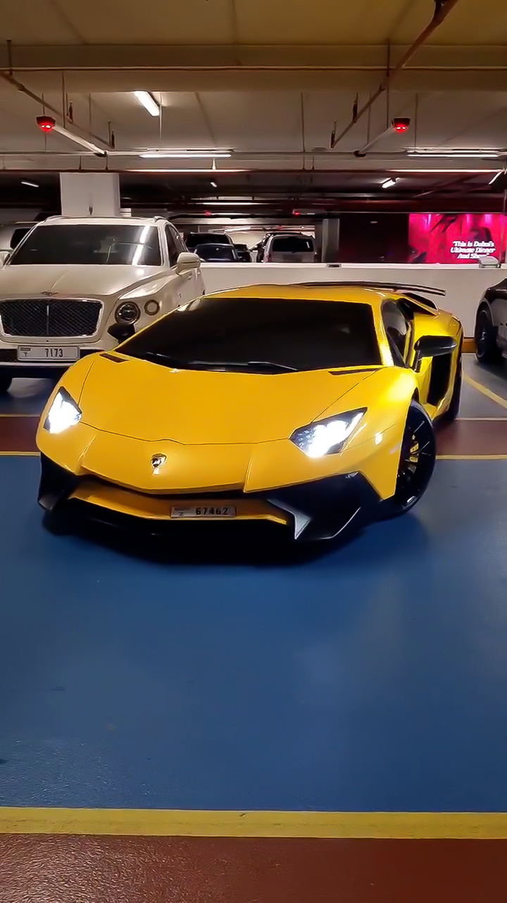 V12 Lamborghini echoes through the garage